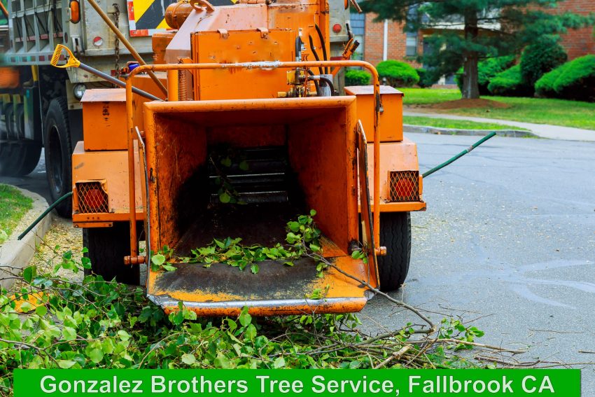 Tree Services in Temecula and San Diego County - Gonzalez Brothers Tree Service