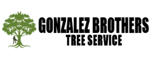 Tree Services in Temecula and San Diego County - Gonzalez Brothers Tree Service